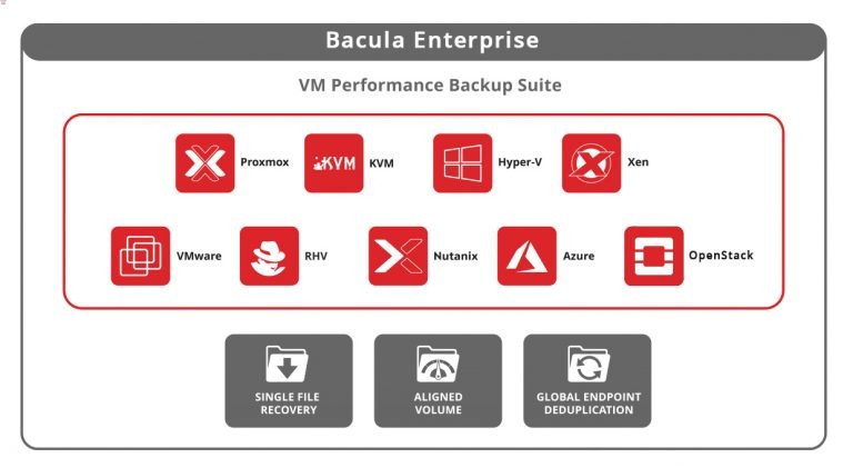 Virtual machine backup software. VM backup software solutions